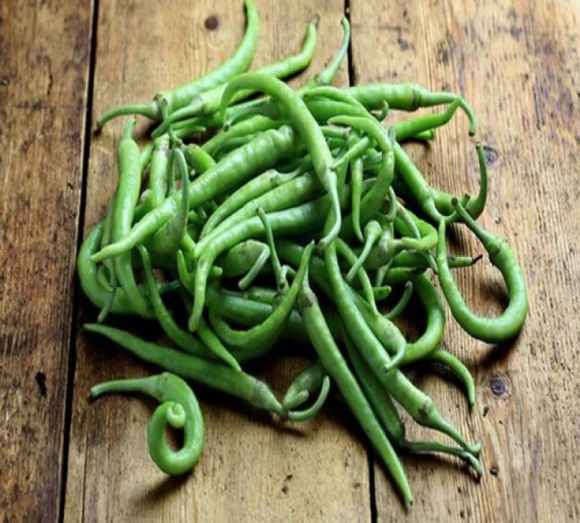 GROUNDOXY C74 ORGANIC CHILLI (MIRCHI) SEED SUPERIOR QUALITY HYBRID ...