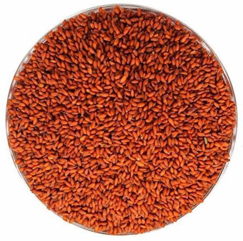 Nature's Bliss Garden CRESS HALIM Seed Asaliya, Aliv Seeds for Increase ...