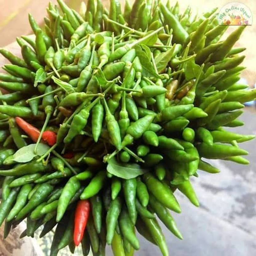 Sjeme Kanthari Chilli Seed Seed Price in India - Buy Sjeme Kanthari ...
