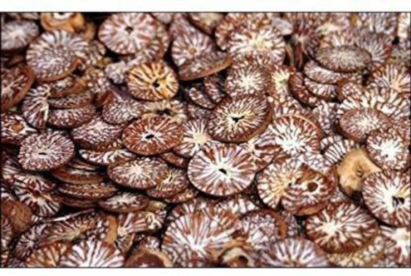 DRY FRUIT TOLL Sliced Areca Betel Nut Cutting Kachi Supari Raw ...