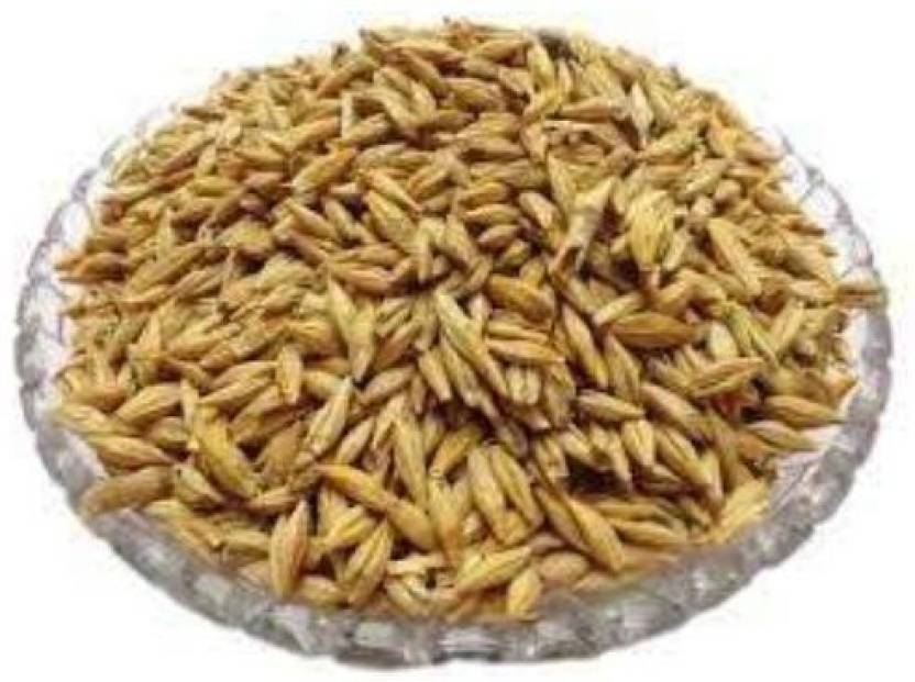 FRESH FROM FARM Barley Grain Natural and Rich Fiber Jau Seeds Pack of ...