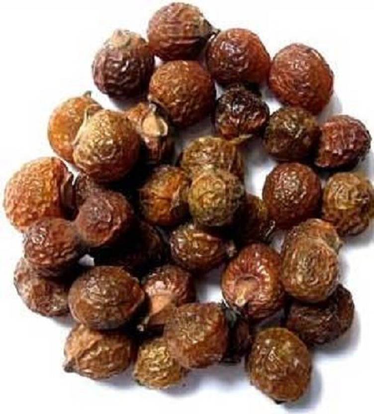 LYRS Sapindus Mukorossi Reetha Seed Seed Price in India - Buy LYRS ...