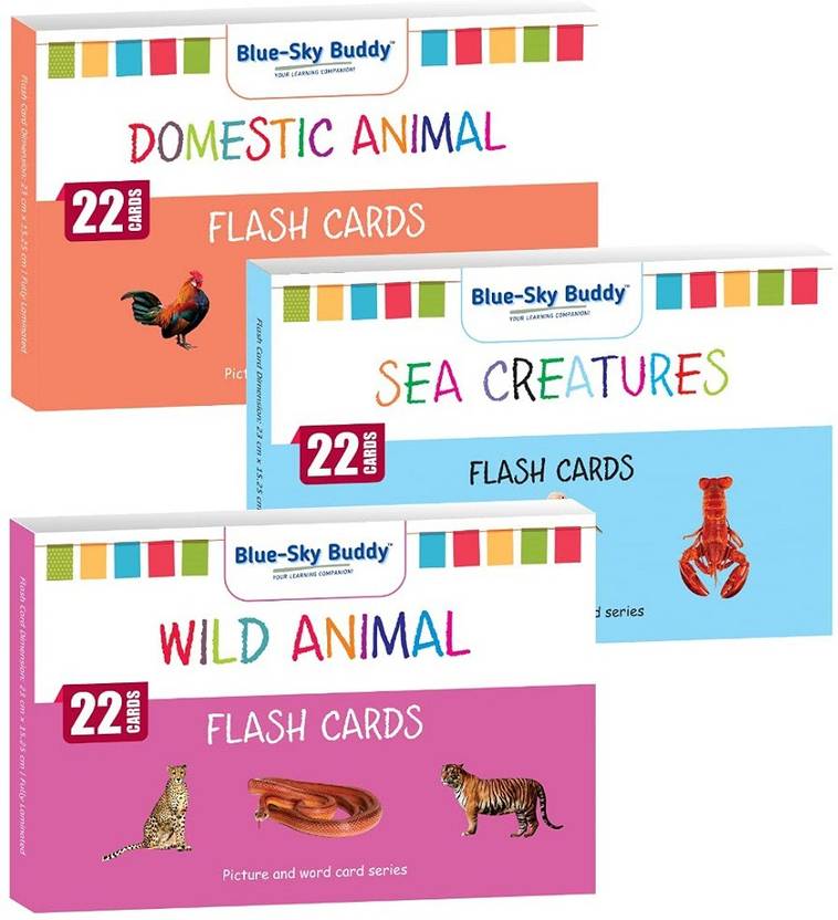 Blue-Sky Buddy Blue-Sky Flash Card | Enhancing Early Learning | Kids ...