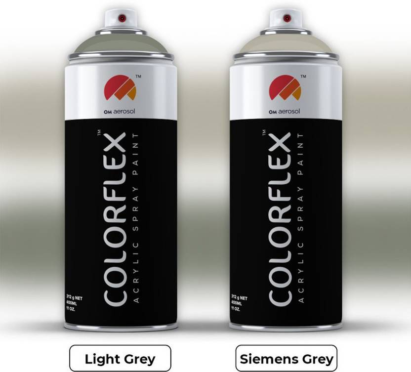 colorflex Light Grey & Siemens Grey Spray Paint 400 ml Price in India ...