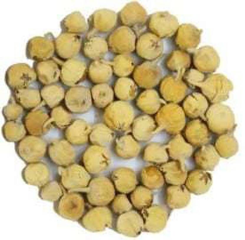 kotaliya Paneer DODI, Indian Rennet, Paneer Ka Phool Seed Price in ...