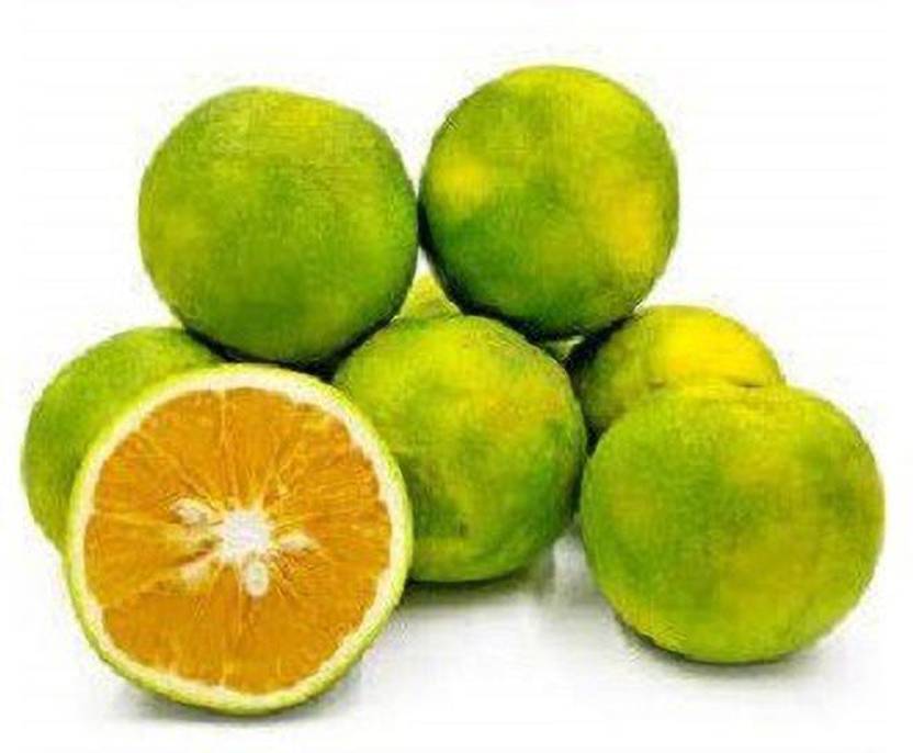 WILLVINE Sweet Lemon Fruit - Citrus Limetta Seeds Seed Price in India ...