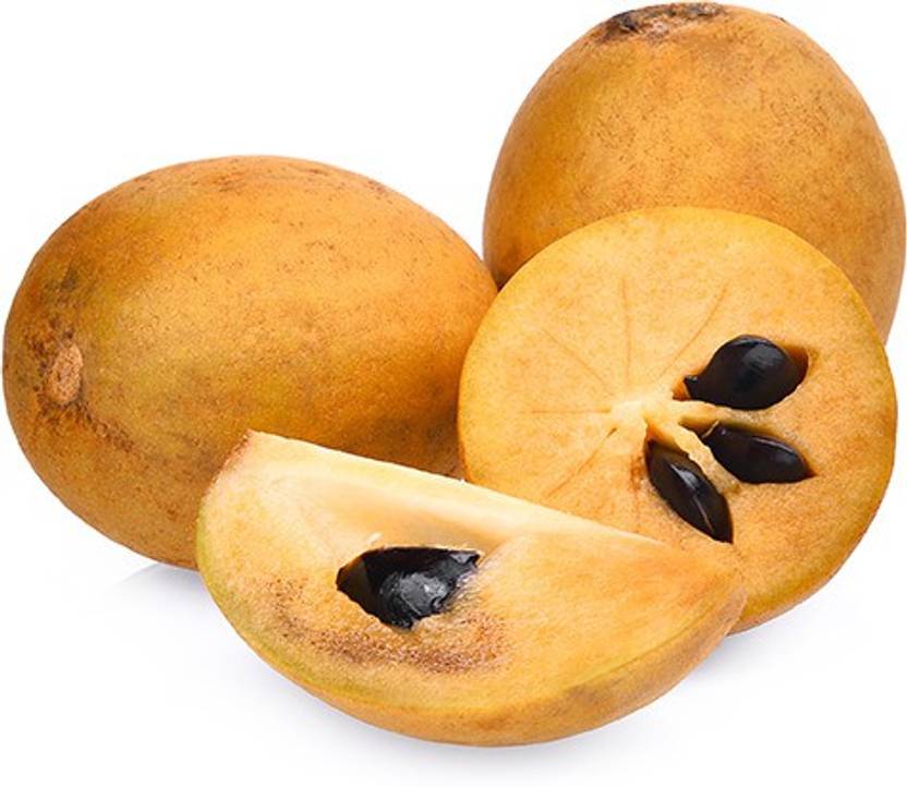 Paudha Chikoo Seed Price in India - Buy Paudha Chikoo Seed online at ...