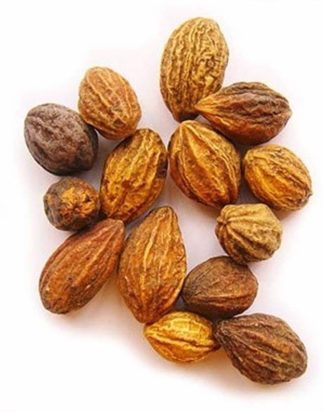 Hardia badi Haritaki Hare Harad big Terminalia Chebula Seed Price in ...
