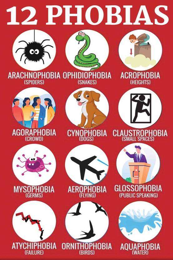 Kids Poster|Kids Educational Poster For Wall|12 Phobias Poster For Play ...