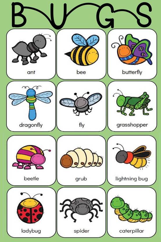 Kids Learning Poster for Decoration|Bugs|Early Educational Poster For ...