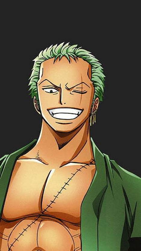 One Piece Zoro One Piece Luffy Levi Attack On Titan Anime Art Matte ...