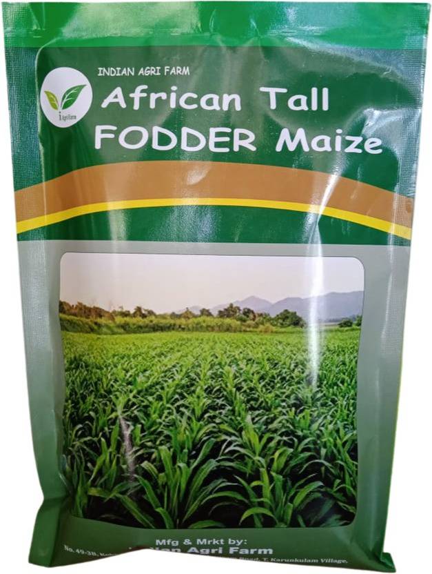 IAgriFarm African Tall Maize/Fodder Maize/Makka (Zea Mays) Fodder Seeds ...