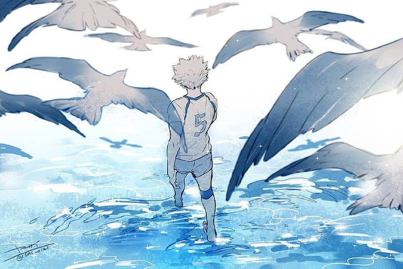 Smoky Design hoshiumi kourai haikyuu water birds Wallpaper Poster Price ...