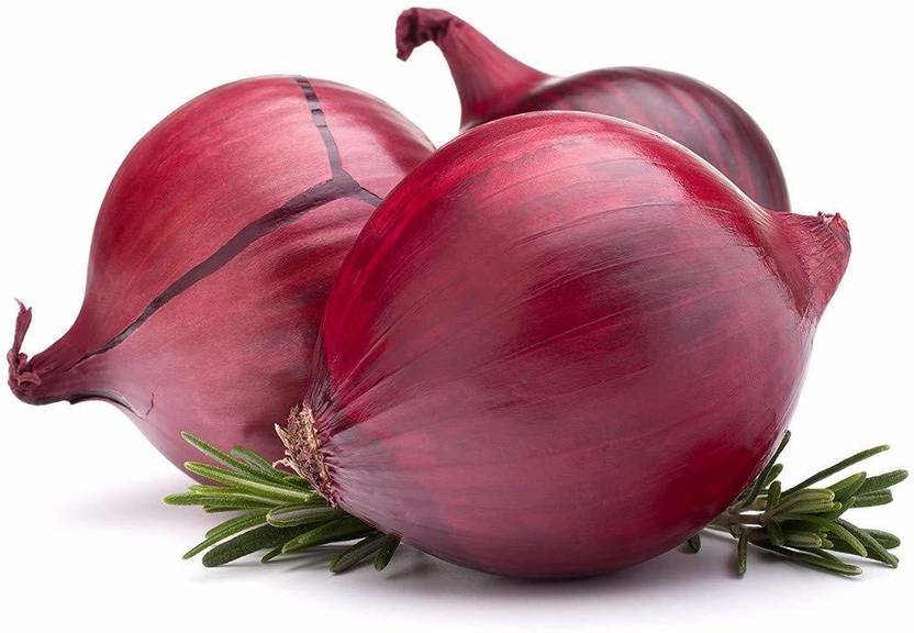 KANAYA Onion Red Kanda Vegetable Seed Price in India - Buy KANAYA Onion ...