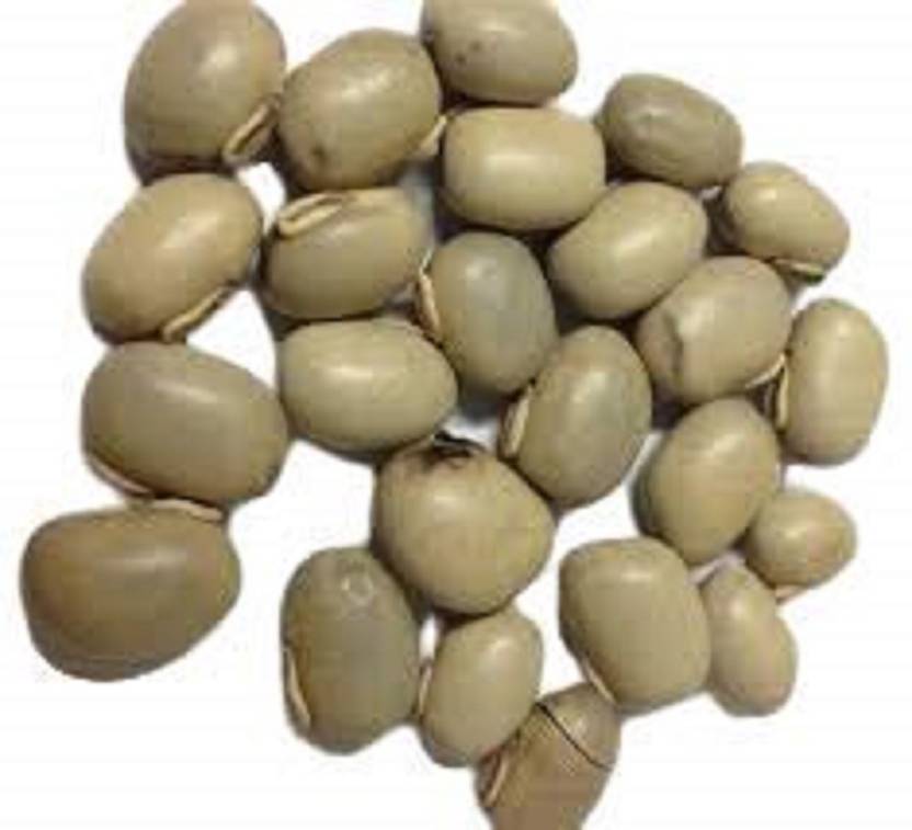 Multi Bazar Kaunch Beej, Konch Beej, Cowhage Seeds, Kapikacchu, Velvet ...