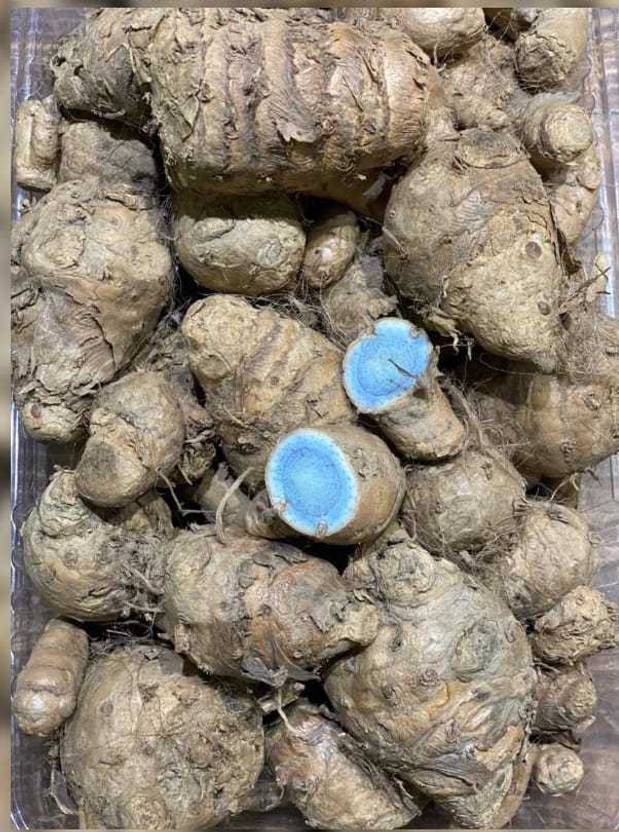 Pioneer Natural Nalla Pasupu, Kali Haldi, Kari Manjal, Naru Kachora ...