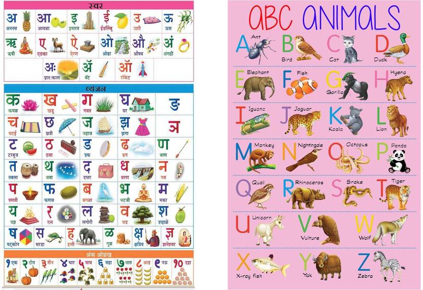 Educational Sticker Poster|ABC Animals, Hindi Swar Vyanjan|Wall Poster ...