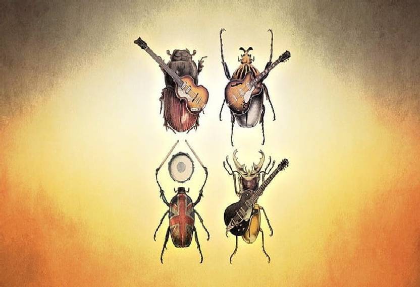Smoky Design insects bug guitars the beatles beetles artwork animals ...