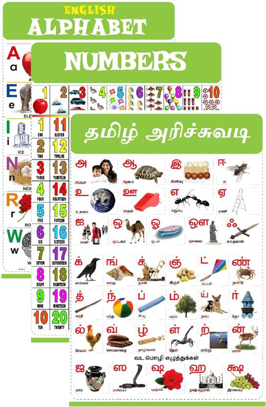 Tamil Arichuvadi Chart for Kids 47x65 cm Mega Size (3 Charts ...