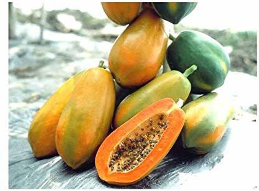MKR Enterprises Papita Seed Price in India - Buy MKR Enterprises Papita ...