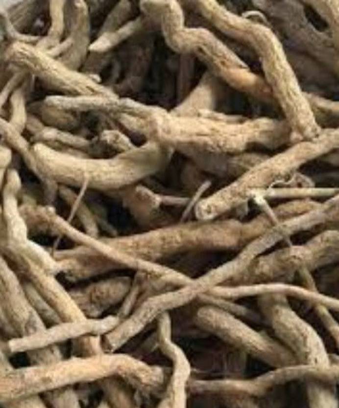 plantsworld Indian Snake Root, Sarpagandha, Patalaguruda, Nakulikand ...
