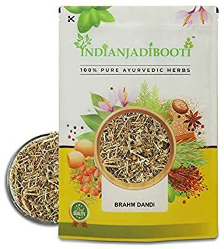 IndianJadiBooti Pure Brahmadandi Tricholepis Tricholepis Glaberrima ...