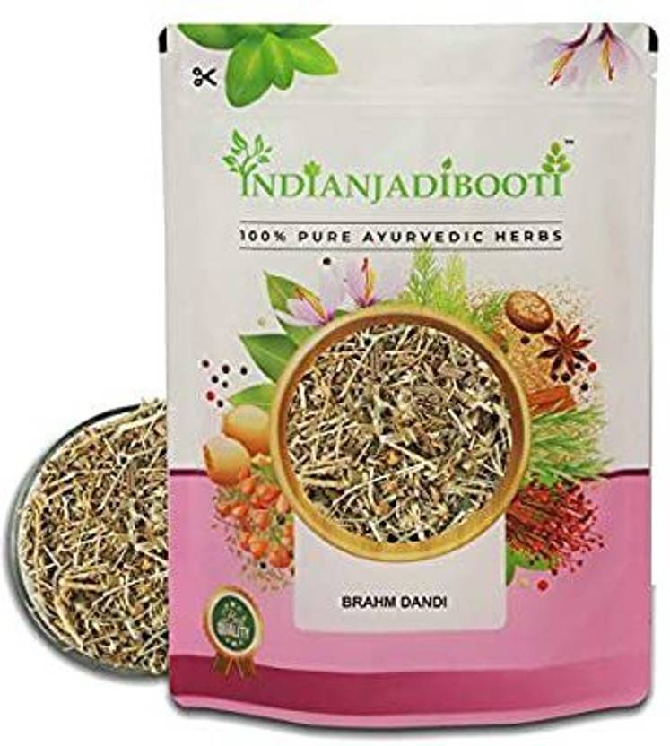IndianJadiBooti Pure Brahmadandi Tricholepis Tricholepis Glaberrima ...