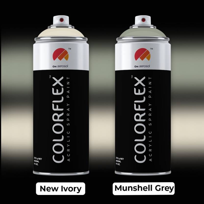 colorflex New Ivory & Munshell Grey Spray Paint 400 ml Price in India ...