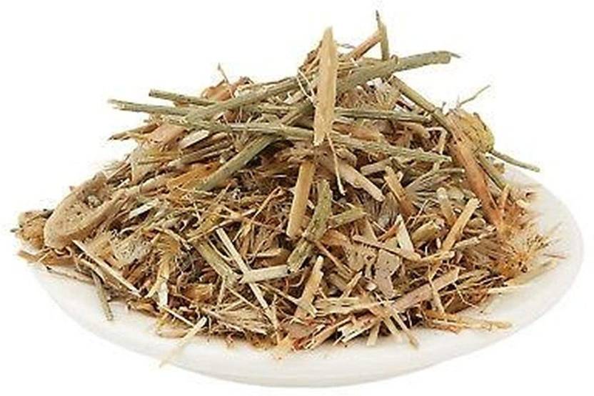 Xetomos Brahmadandi Tricholepis 150g seeds Seed Price in India - Buy ...