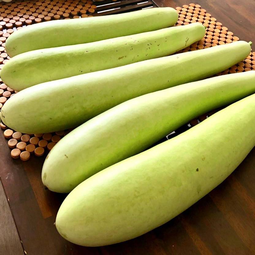 Organic Galaxy Upl Bottle-Gourd (lokki) Vegetable F1 Hybrid Variety ...