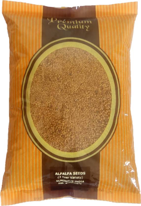 Numinous Alfalfa, Lucerne Grass, Methi, Medicago Sativa, Rajka, Fodder ...