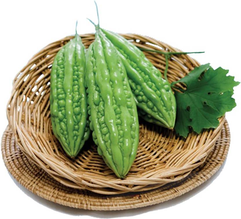 Corofitam BITTER GOURD // VIETNAMESE Seed Price in India - Buy ...