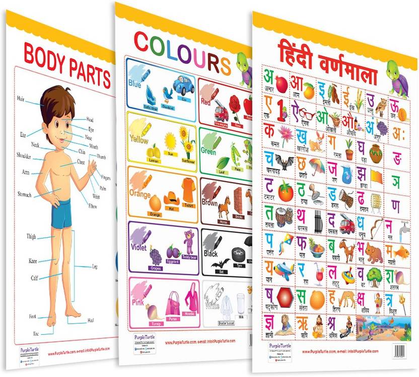 Body Parts, Colours, and Hindi Varnmala Educational Wallcharts for Kids ...