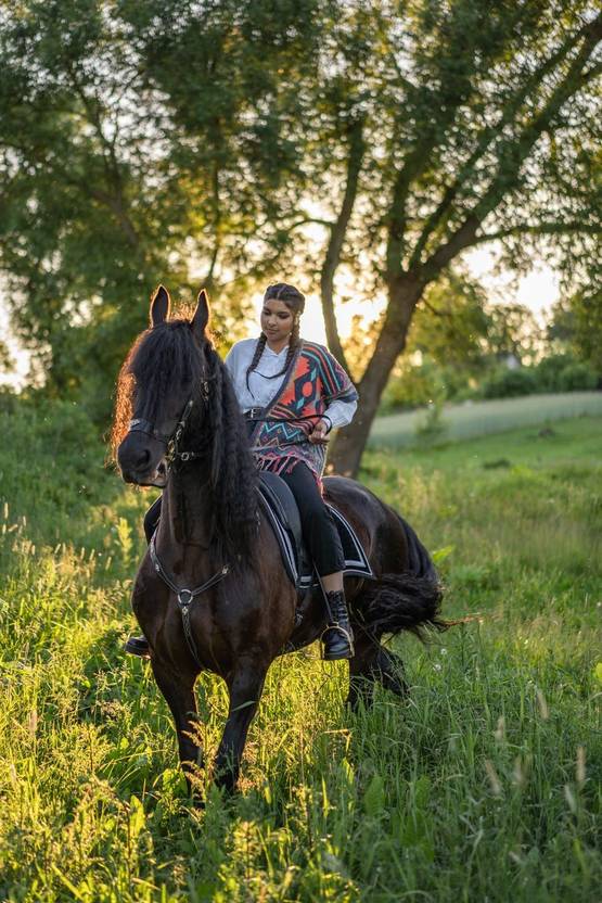 Horse poster & ghoda poster & animals POSTERS Waterproof Vinyl Sticker ...