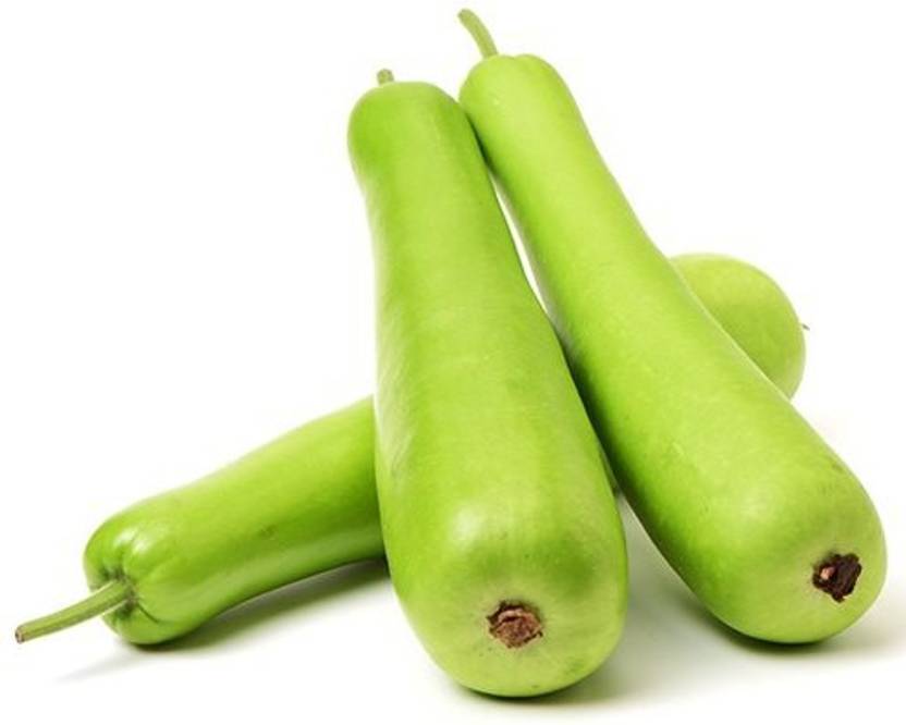 SimXotic Bottle Gourd (Loki) Vegetable Quality Seeds - 30 Seeds Open ...