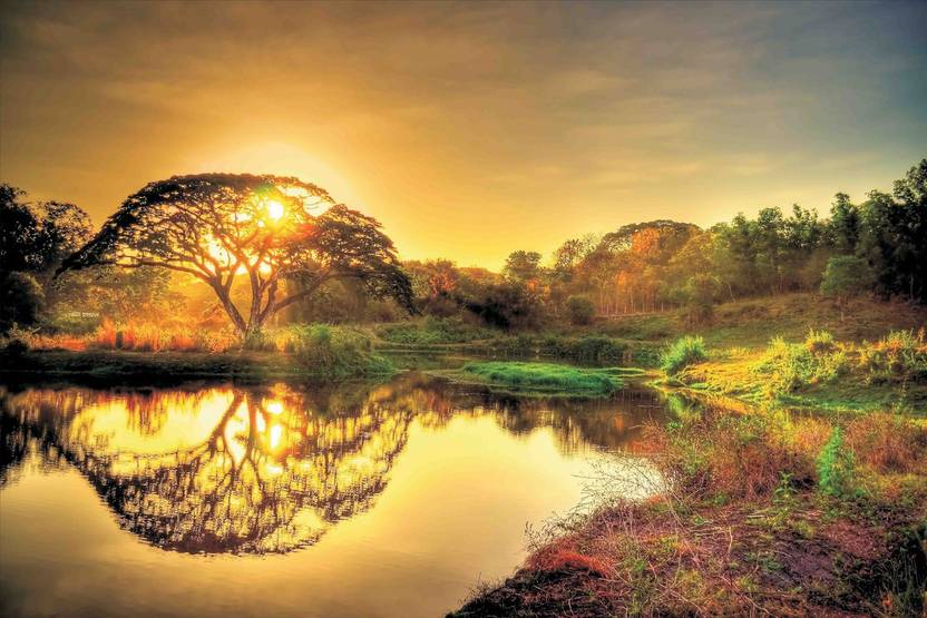 Nature Wall Poster -Beautiful Scenery Poster for Decoration ...