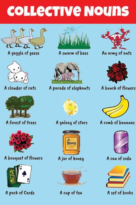 Kids Learning Sticker Poster|Collective Nouns|Educational Sticker ...