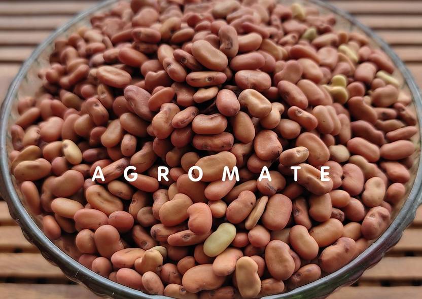 Agromate HADGA, SESBANIA GRANDIFLORA, AGATHI, AVISA, HUMMINGBIRD Seed ...