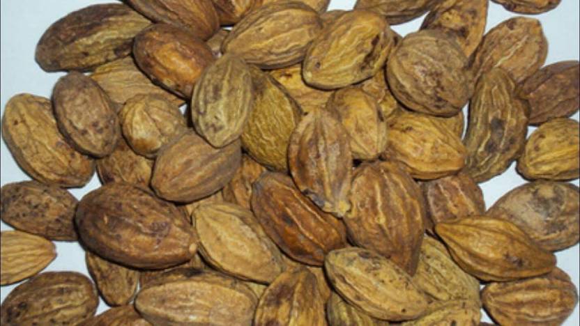 MAXKIA Peeli Harad Harida Haritaki Terminalia Chebula 150g Seed Price ...