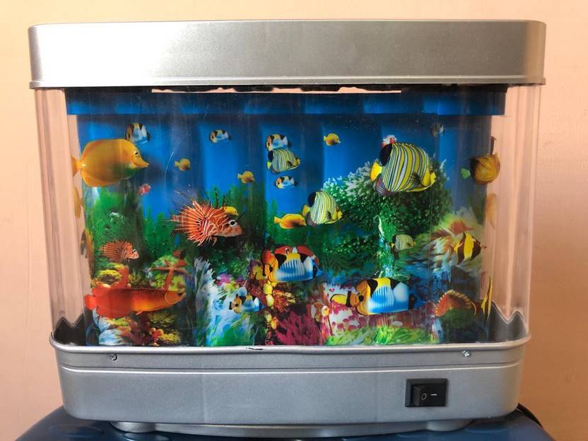 BluePanda Fish Motion Lamp Table Lamp Price in India - Buy BluePanda ...