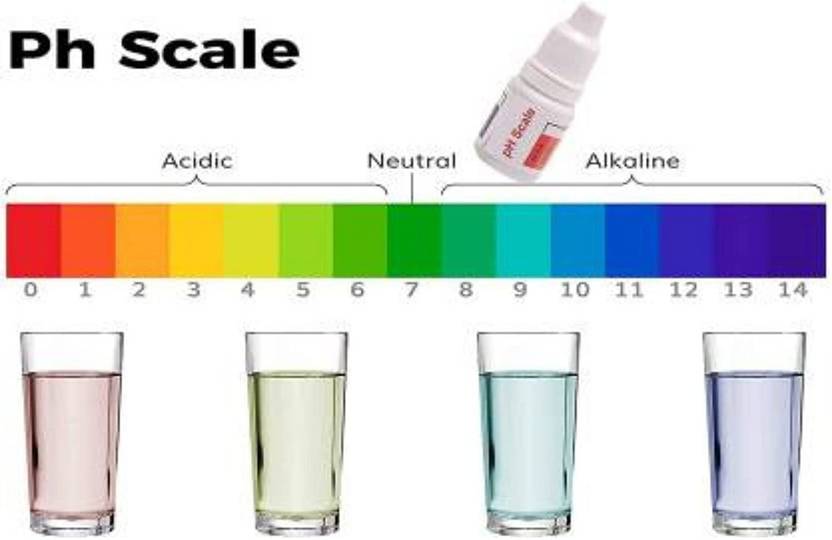 DILOOK pH and orp Drop for pH Testing and Alkaline level, for pH Water ...