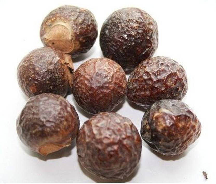 Ravel Sapindus Mukorossi/Indian Soapberry/Washnut/Soapnut/Reetha Tree Seeds -500 gm Seed Price ...