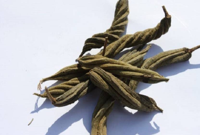 plantsworld Helicteres isora, Marodphali, Marori Phali, Murva Seed ...