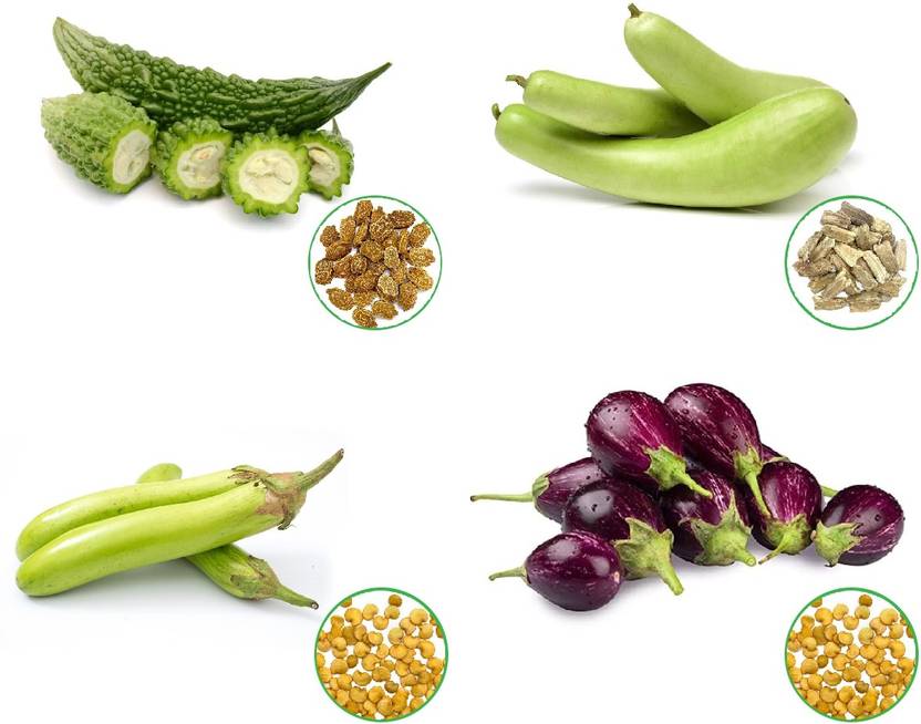 master green Bitter Gourd / Bottle Gourd / Brinjal Green Long / Brinjal ...