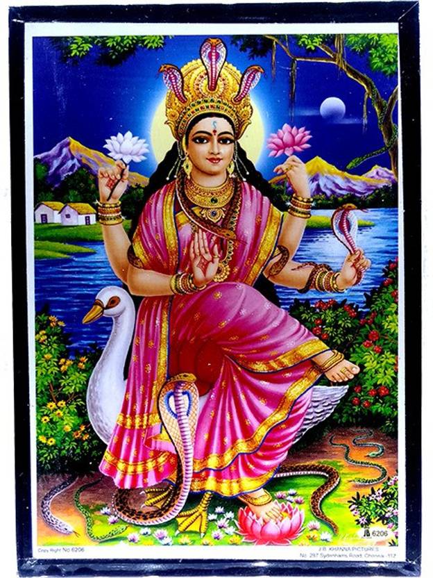 Deshkart MATA MANASA DEVI (5 INCH X 7 INCH) LAMINATED PHOTO WITH BACK ...