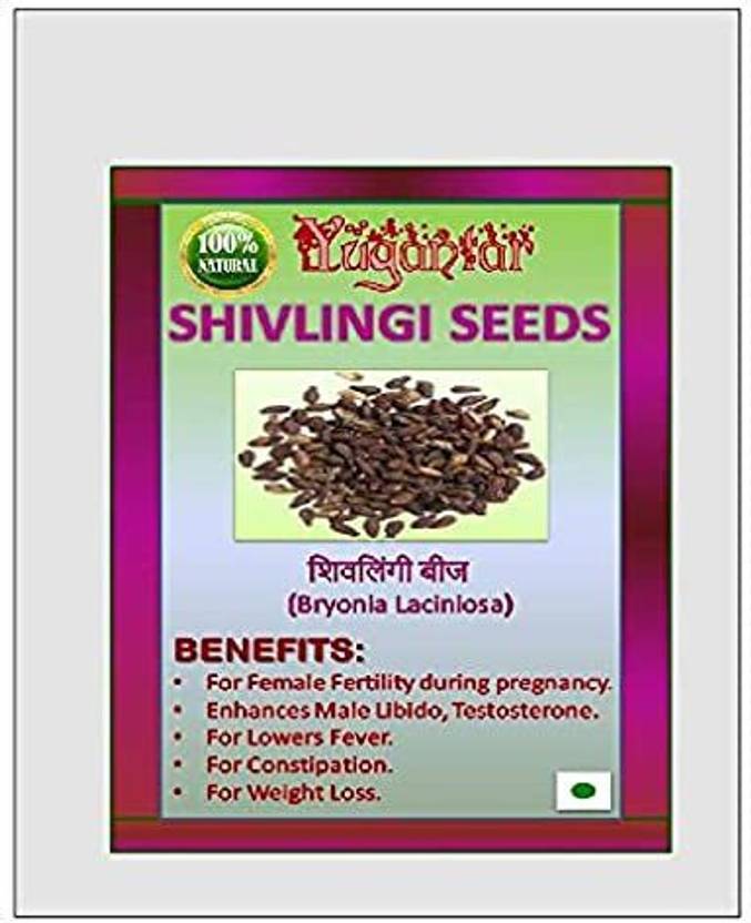 YUGANTAR SHIVLINGI SEEDS - SHIVLINGI BEEJ - BRYONIA LACINIOSA Seed ...