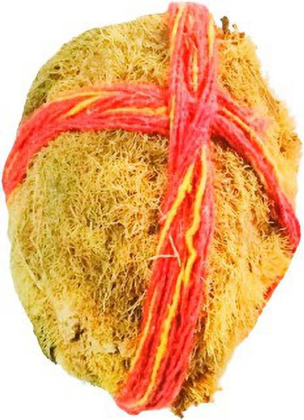 gandak Ekakshi Nariyal 2 Pieces POOJA/HAVAN ITEM - MAHA LAKSHMI POOJA ...