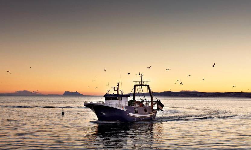 ship Poster & Boat poster, Pandubi poster, submarine Poster, jahaj ...