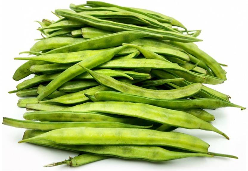 WATIKA Cluster Beans (gawar,guar Phalli,goru chikkudu,kothavara) Seed ...