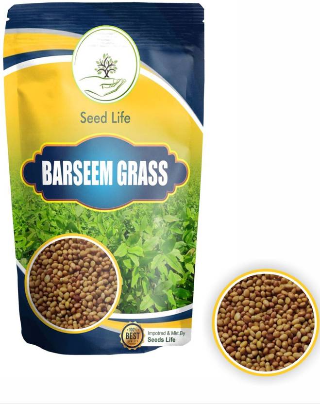 SeedLife BARSEEM GRASS SEEDS - THE KING OF FODDER GRASS SEED Seed Price ...